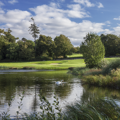 Christmas Breaks Cork | Fota Island Resort