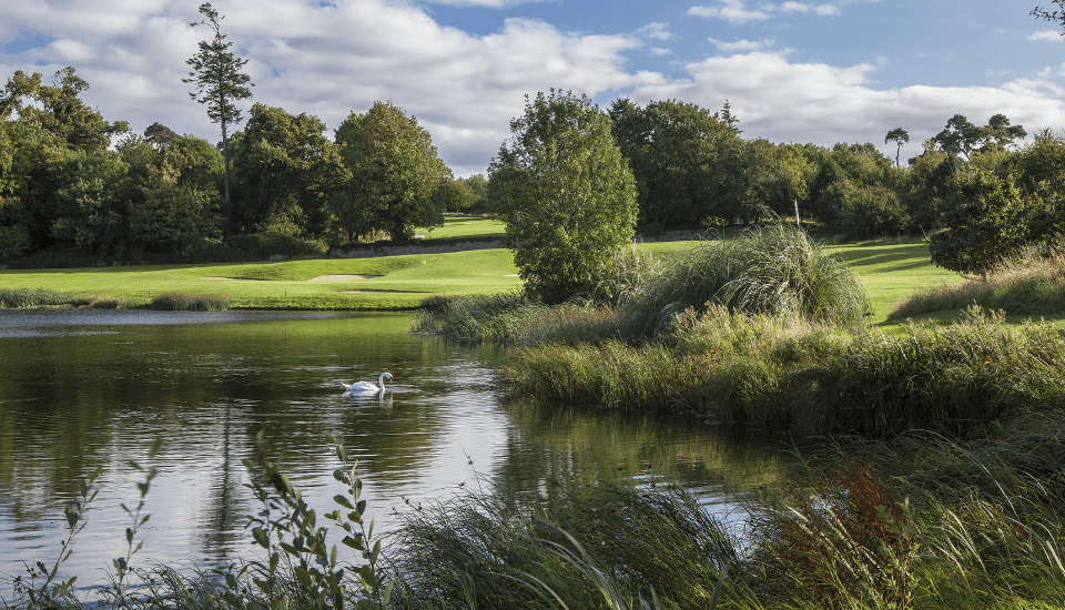 5 Star Hotels in Cork | Luxury Hotels & Resort Ireland, Fota Island Cork