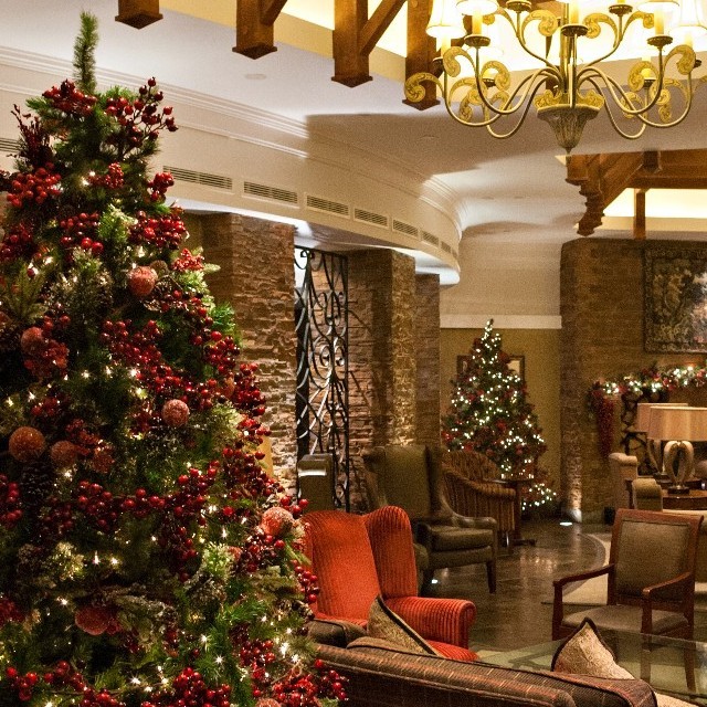 Christmas Breaks Cork | Fota Island Resort