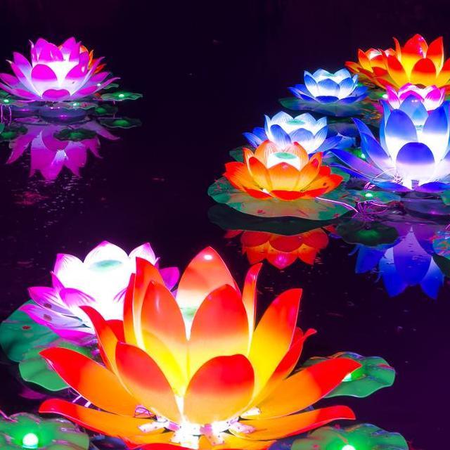 Fota Island Resort - Wonderlights